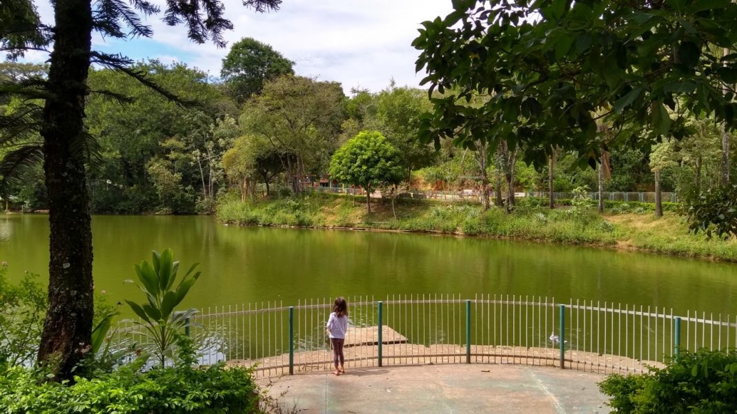 Varginha: conheça sua história e os encantos da cidade | NOTÍCIAS ...