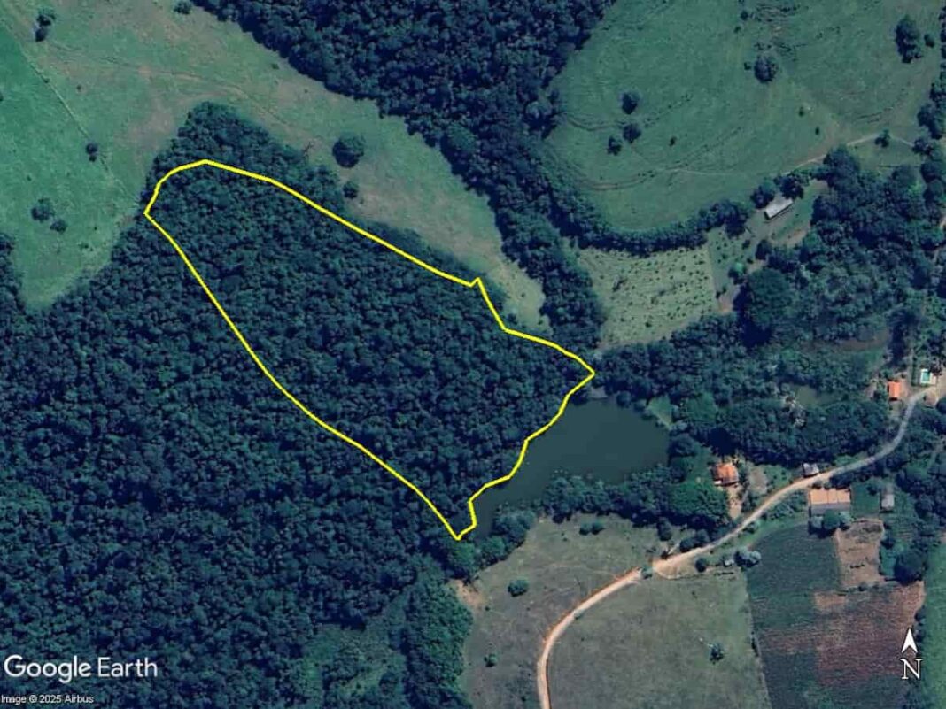 Varginha ganha área de Mata Atlântica para criação de parque ecológico ...